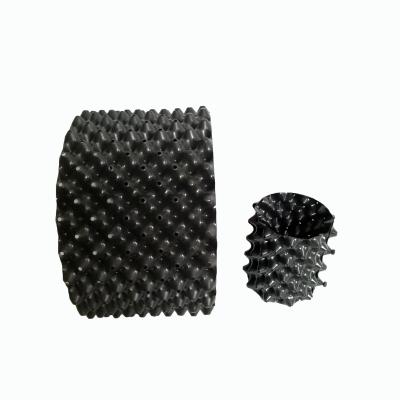 Cina HDPE material black plastic root control pots for Locust in vendita