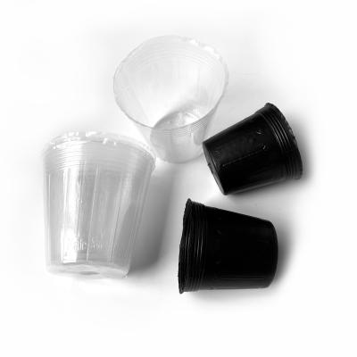 Cina Trattamento UV del fiore dei vasi molli di plastica neri della scuola materna in vendita