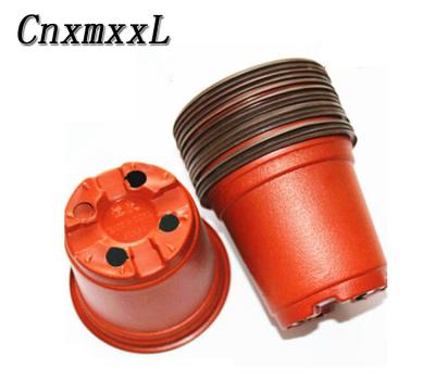 China good quality plastic PP hot pepper/Chilly flower pot in low price for sale