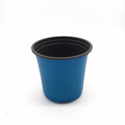 中国 blue color nursery pot plastic flower pot 販売のため
