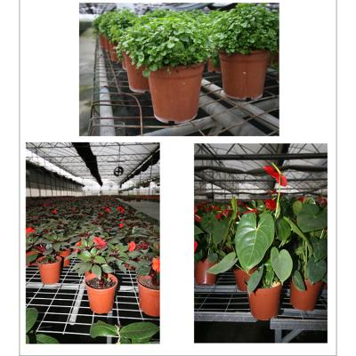 Cina Pottine di fiori di plastica a doppio colore di colore nero e chiaro in vendita