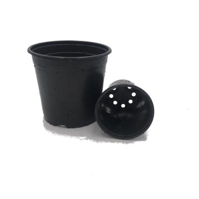 China Light and soft black/double-color flower pot dried ginger  seedling nutrition pot for sale