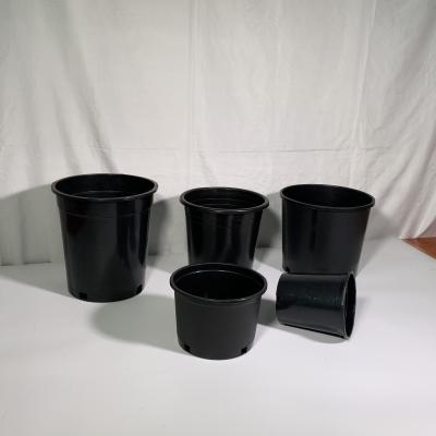 Cina Plastico duro durevole 3 galloni di piante da fiore nero Grandi vasi di PP / HDPE in vendita