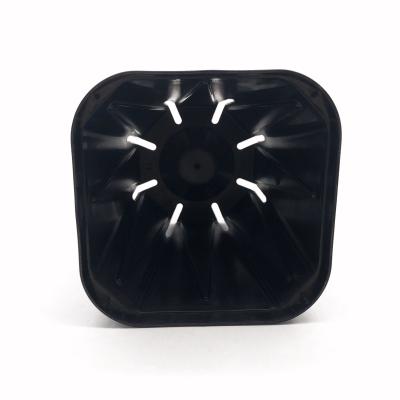 China Factory price disposable square black pot small plastic flower pot nursery planting flower pot for indoor and outdoor Te koop