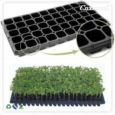 China Nursery tray lids type and hips plastic seeding tray for sale