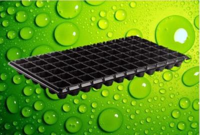 中国 New style plastic seedling tray Seedlings plants Plant pots wholesale with low price 販売のため