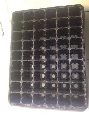 中国 New style plastic seedling tray Seedlings plants Plant pots wholesale with low price 販売のため