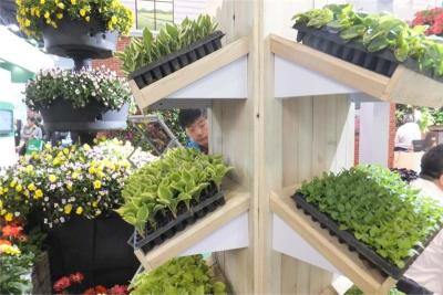 Cina Promote seed growth and environmental protection seed tray in vendita