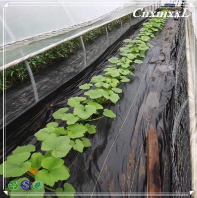 Cina Stuoia di giardinaggio del paesaggio di 4mm tessuta pp del tessuto erbaccia di plastica dell'HDPE dell'anti in vendita