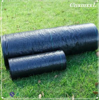 Cina Stuoia di giardinaggio del paesaggio di 4mm tessuta pp del tessuto erbaccia di plastica dell'HDPE dell'anti in vendita