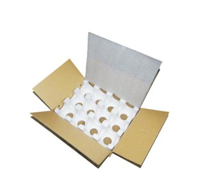 중국 맞춤형 프로파일 EPS 폼 충격 흡수 과일 트레이 부서지기 쉬운 보호 판매용