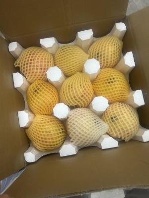 중국 맞춤형 프로파일 EPS 폼 충격 흡수 과일 트레이 부서지기 쉬운 보호 판매용