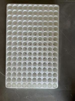 China Foam seedling tray tray Vegetable seedling tray hydroponic tray tray White foam traypepper seedling tray wholesale floating foam board water planting seedling tray thickened fruit and vegetable pepper for sale
