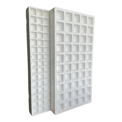 中国 EPS 花と果樹の種付けトレイ 泡ススペンションタイプ 種付けトレイ パーソナライズ 販売のため