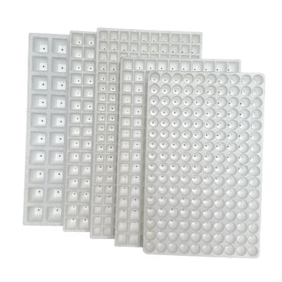 中国 EPS 花と果樹の種付けトレイ 泡ススペンションタイプ 種付けトレイ パーソナライズ 販売のため