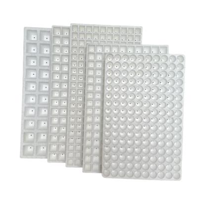 China Durable EPS Flower And Fruit Tree Cultivation Seedling Plate Foam Seedling Plate Water Proof for sale