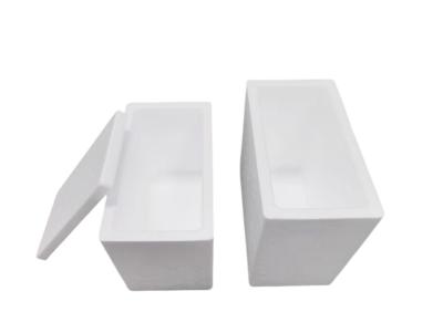 China Bubble wrap protection EPS EPE EPP EVA fragile goods packaging protection custom cold chain shipping for sale