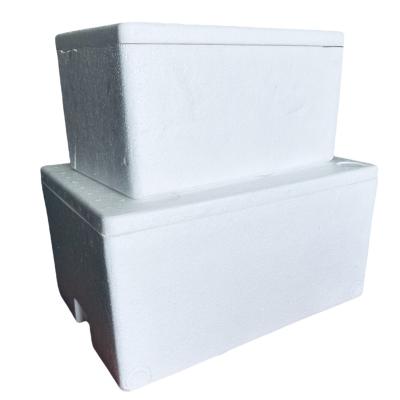 Китай Пена EPS инкубатор холодной цепи транспортной коробки настройка сейсмическая устойчивость продается