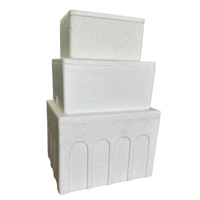 Китай Пена EPS инкубатор холодной цепи транспортной коробки настройка сейсмическая устойчивость продается