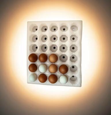 中国 パーソナライズされた泡の包装,パーソナライズされたEPSの包装保護,脆弱なアイテムのためのパーソナライズされた包装 販売のため