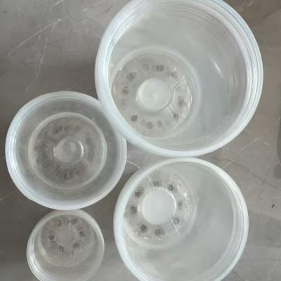 China high-quality hydroponic fresh flower pot pp double color plastic flower pot with competitive price. for sale