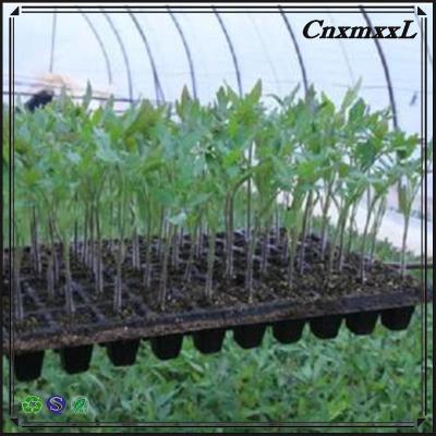 China 200-cell Plastic Seedling Tray - 2mm Thick and Aging Resistant for Durable Nursery Use for sale