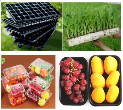 China Customized Design Recyclable PET Plastic Blister Packaging with Heat Sealing for Fresh Produce for sale