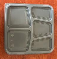 China 5 DIVISION PLASTIC CONTAINERCOLOR for sale