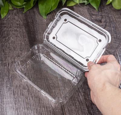 China High-hardness disposable transparent fruit box for fruit and fresh produce store packaging and cutting of fruits for sale