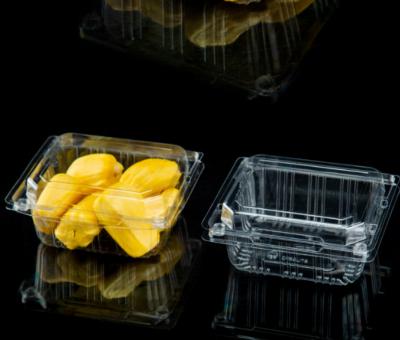 China clamshell punnet   one‑piece hinged box  clear blister container grocery fruit container fruit display box for sale