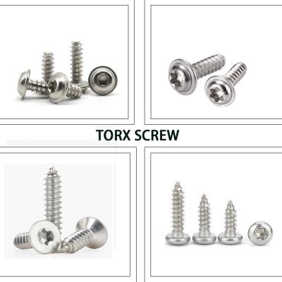 Cina Vello in acciaio inossidabile con motore quadrato Torx e testa Robertson in vendita