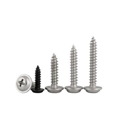 Cina Finitura OEM ODM in acciaio inossidabile Phillips/Torx Pan Head Washer Self Tapping Shoulder Screws Cross Recessed Wafer Head Self Tapping Screw in vendita