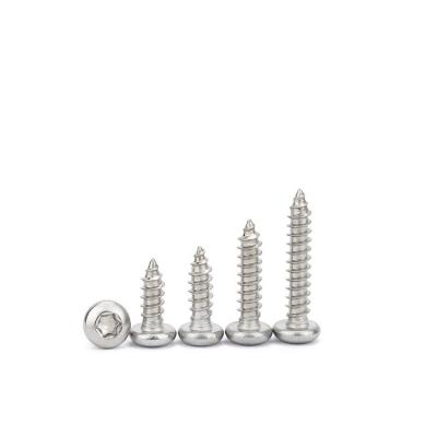 Cina Acciaio inossidabile metrico in zinco 304 M3 M4 M5 M6 Torx Drive Pan Head in vendita
