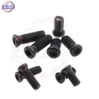 China Black Torx Head Security Self Tapping Screw Anti-Theft Stainless Steel M4 20mm for sale