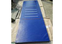 China Standing Long Jump Mat for sale