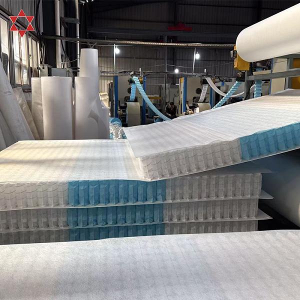 Quality Factory Comfortable Sleep Well OEM ODM 4/5/6/7 Zone Pocket Spring for sale