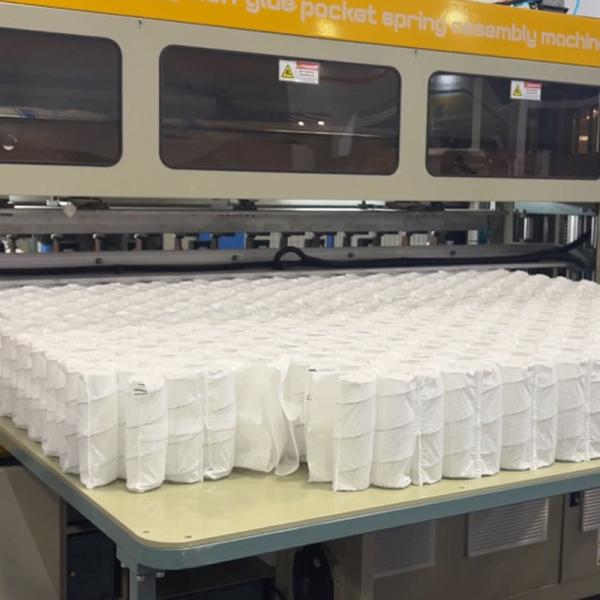 Quality Factory Customization Pocket Coil Mattress Spring Double Layer Pocket Spring for sale