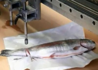 Cina SGS del macchinario di taglio del getto di acqua dell'alimento provato con controllo di CNC in vendita
