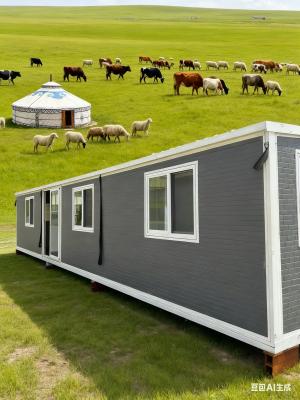 China Easy Installation 40ft Expandable Container Home with 72 Square Meters Large Floor Area for sale