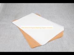 Parchment Paper/Baking Paper (Sheet)