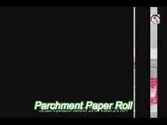 silicone coating 30cmx6m parchment paper roll baking steaming