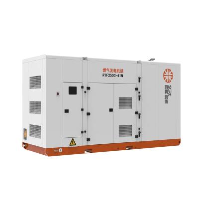 China Cheap Small 250KW to 5MW Natural Gas Biogas Generator Set  and Gas Powered Engined Generator Gas Generator Sets for sale