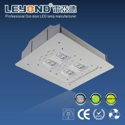 Cina I chip di  hanno condotto l'illuminazione esteriore del baldacchino del driver di Meanwell delle luci del baldacchino in vendita