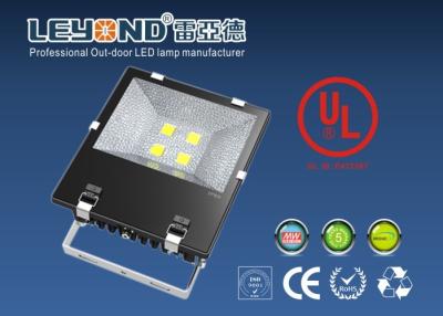 Cina Chip della PANNOCCHIA 120LM/W Bridgelux di alto potere 5 anni della garanzia di Meanwell del driver IP65 LED di luce di inondazione in vendita