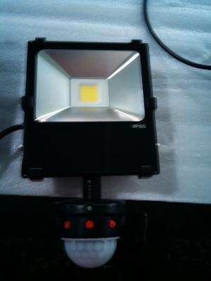 Cina Riscaldi il proiettore principale PIR impermeabile principale PIR bianco della luce di inondazione IP65 30w in vendita