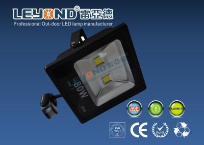 China O poder superior preto de alumínio PIR conduziu a luz de inundação exterior com sensor à venda
