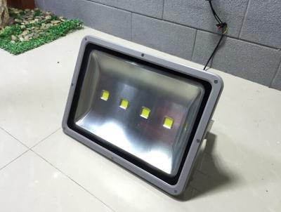 Cina Alloggio robusto principale ultra luminoso della luce di inondazione 250w con il driver dei chips& di Bridgelux in vendita