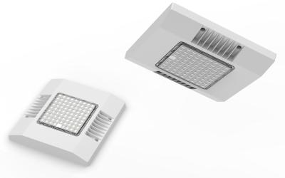 Cina Il baldacchino antiabbagliante del LED accende la lampada della stazione di servizio di 165lm/W 50w 100w 150w una lente ottica da 85 gradi in vendita