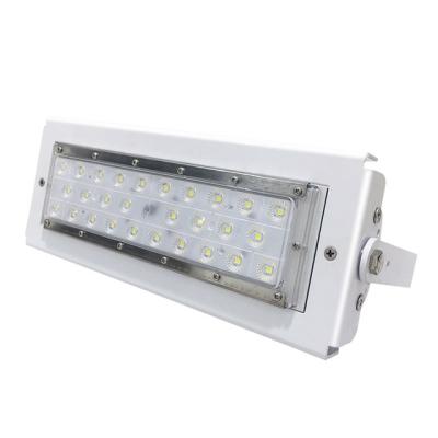 Cina L'alto lume IP66 ha condotto la luce di inondazione 50W per la lampada all'aperto. in vendita