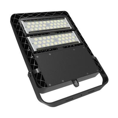 Cina Lo Spiderman della luce di inondazione di alto potere LED dell'Dado-Custing-alloggio Ip66 80W ha condotto la luce di inondazione in vendita